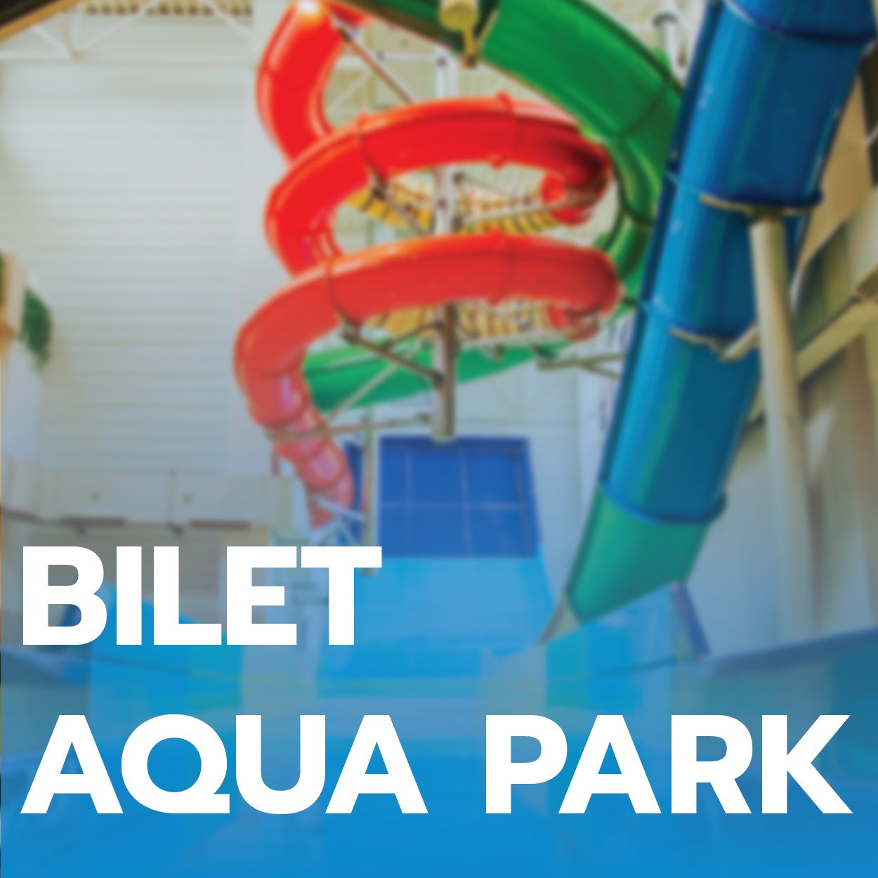 Magazin - Aria Sibiu